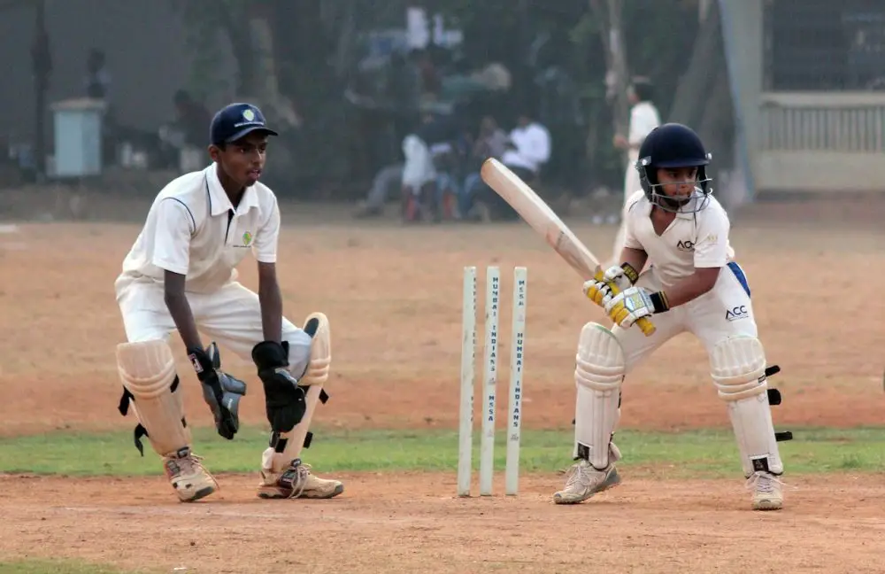 What Wood Is A Cricket Bat Made From? | TheSportsReviewer.com