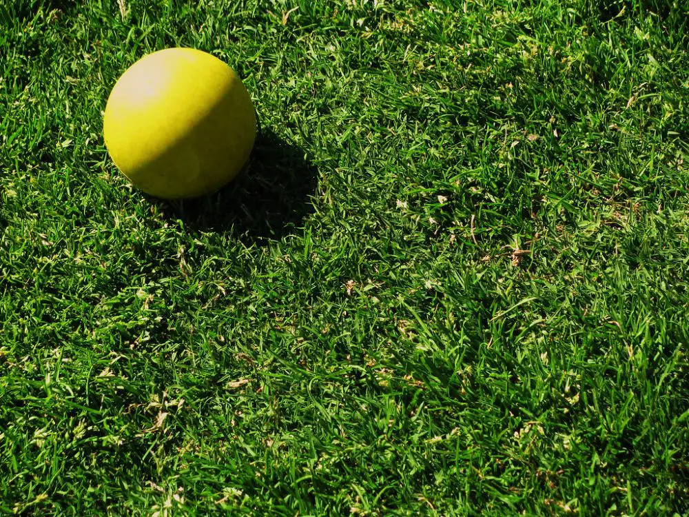 Is A Lacrosse Ball Hard? Here's What You Need To Know About Its ...